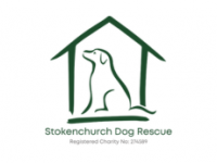 Home » Stokenchurch Dog Rescue